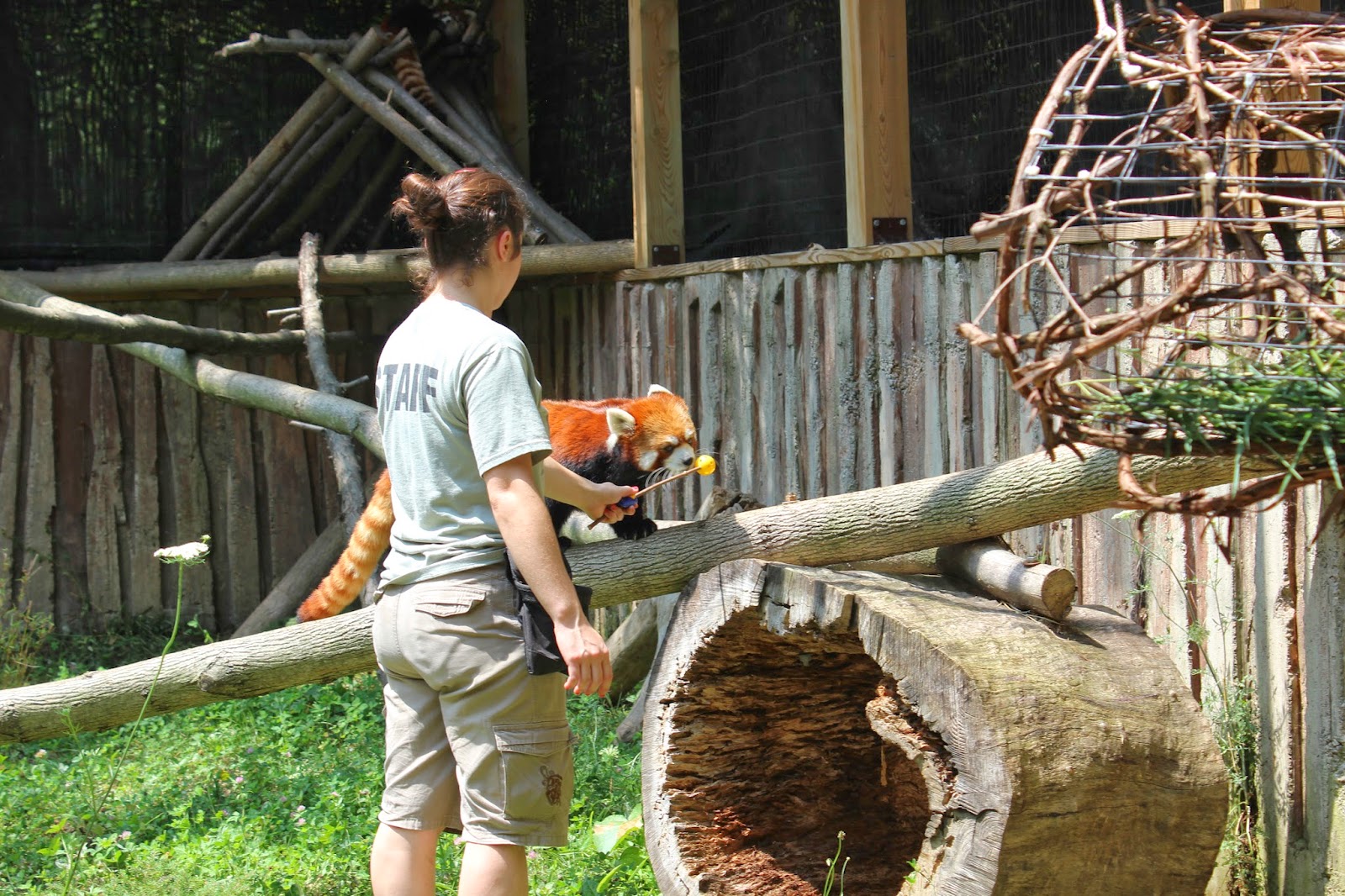 Adventures of a Zookeeper: Training 101