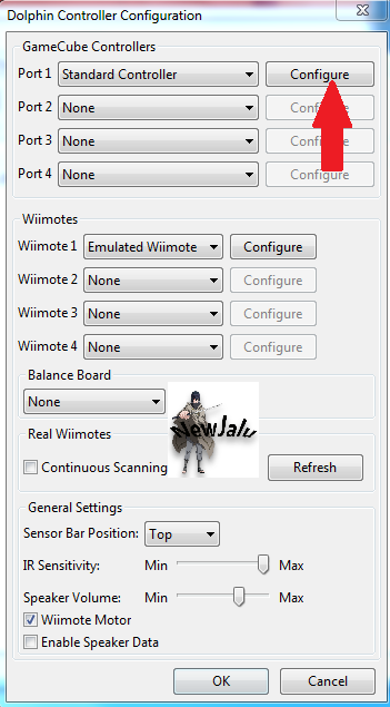 Setting Joystick Dolphin Emulator