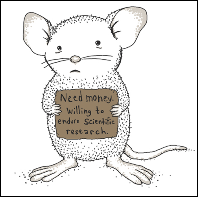 Word of the Day with vocabmantra.com: Learn 4 words from 1 Post ...