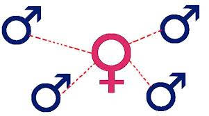 WalmartRamen - A New Day: Polyandry, Biology to Survive!