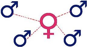 WalmartRamen - A New Day: Polyandry, Biology to Survive!