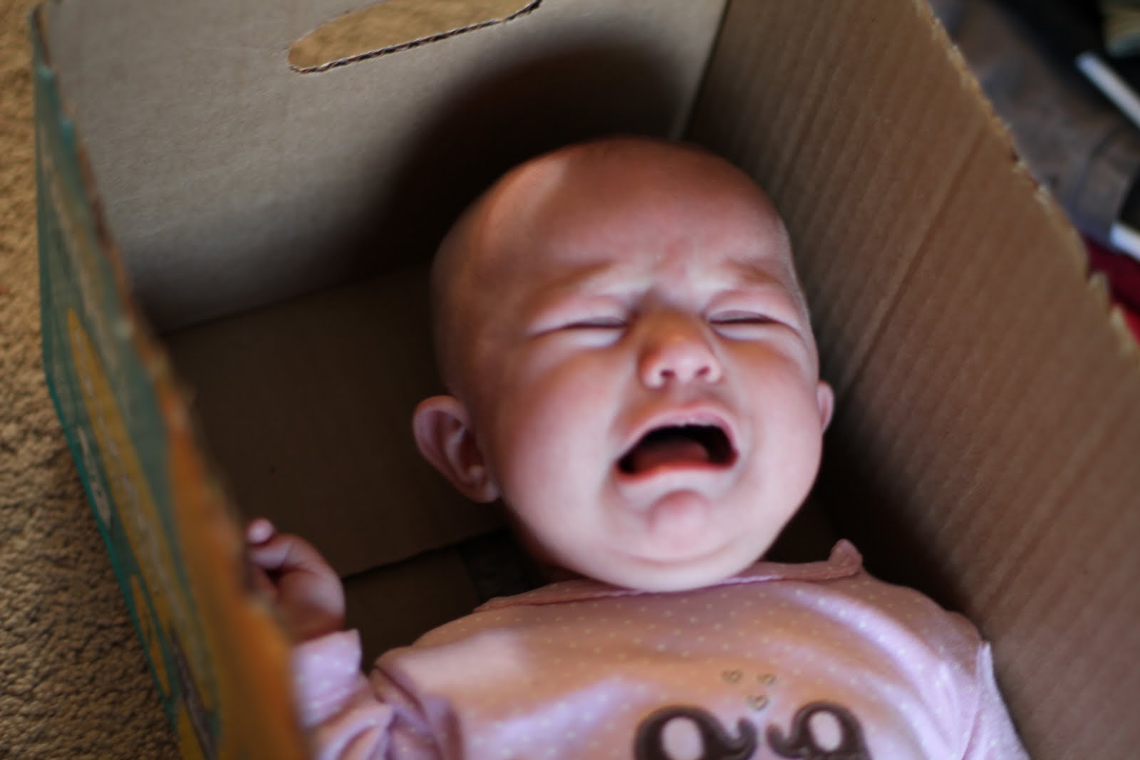 Naptime Reflections: You Know You're a 4th Child