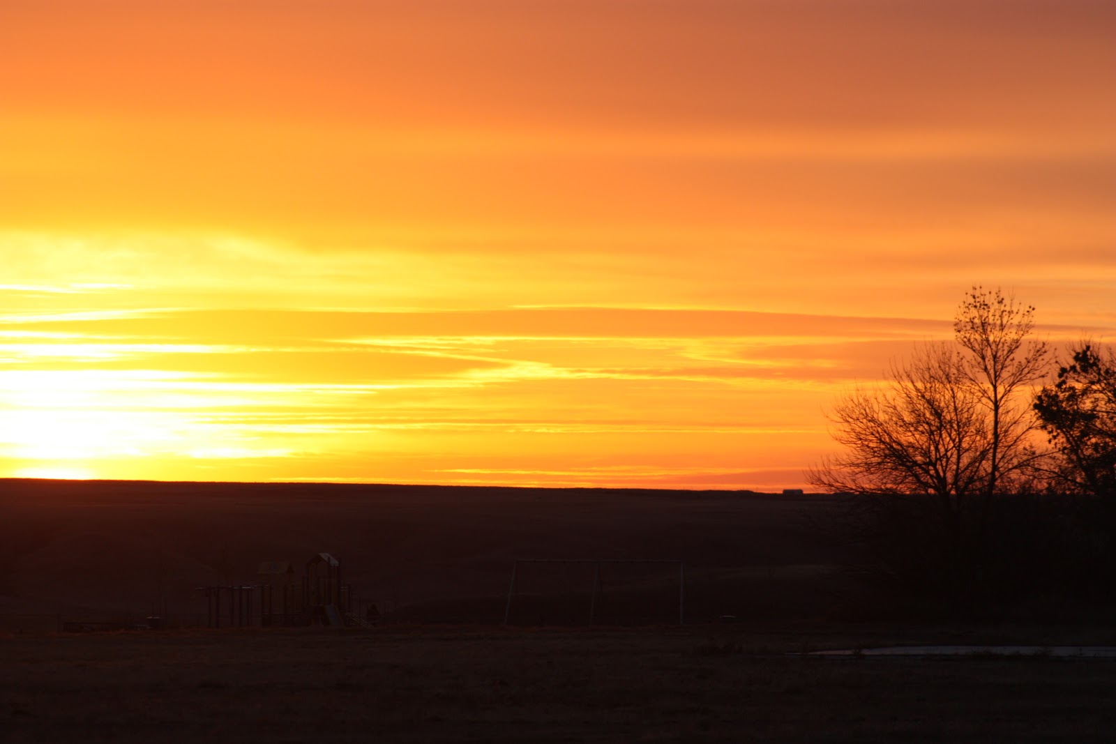 An Unfittie's Guide to Adventurous Travel: Mellow Yellow Monday ...