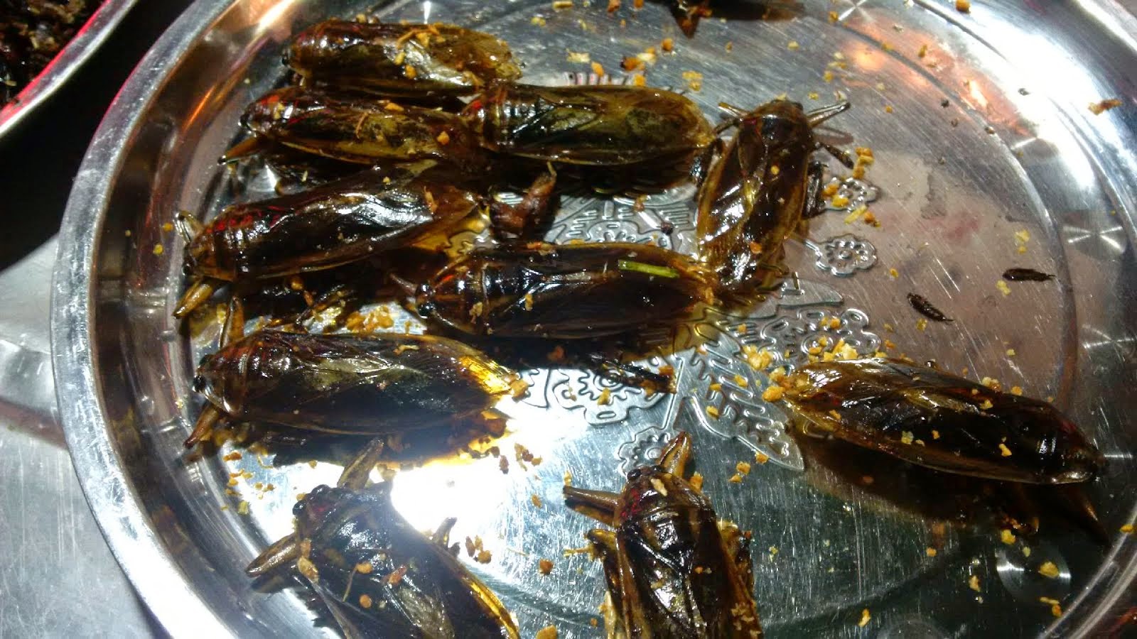 Fork It, Let's Travel!: Snakes on a skewer