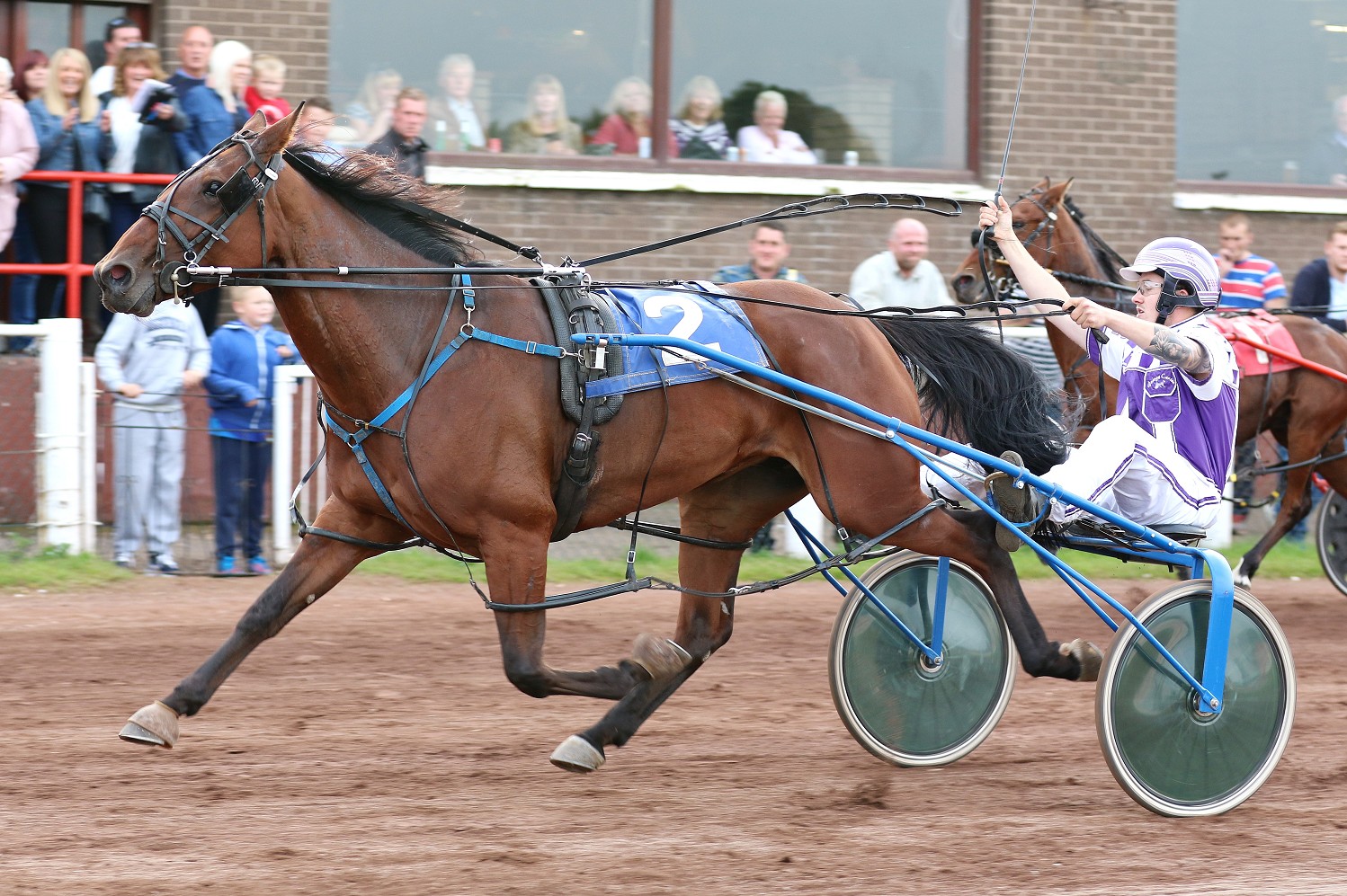 Harness Racing in the UK: What defines a horse's nationality?