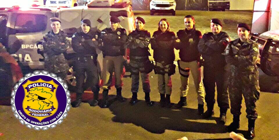 NÚCLEO DE OPERAÇÕES ESPECIAIS