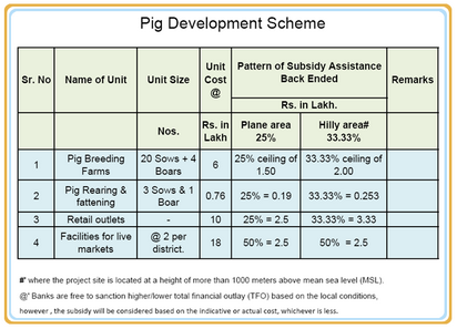 pig farming equipment: Pig Farming in Indian