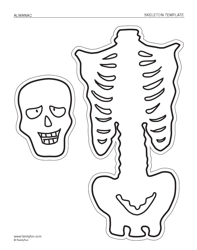 Mr. Bones - Teacher by the Beach