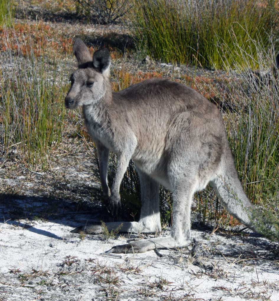 Judy Wise: Part 3: Sydney to Albion Park to Jervis Bay
