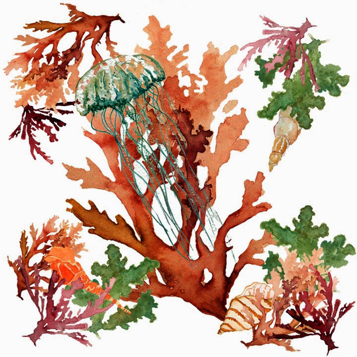 DEEP COVE FLOWERS: Seaweed Pattern