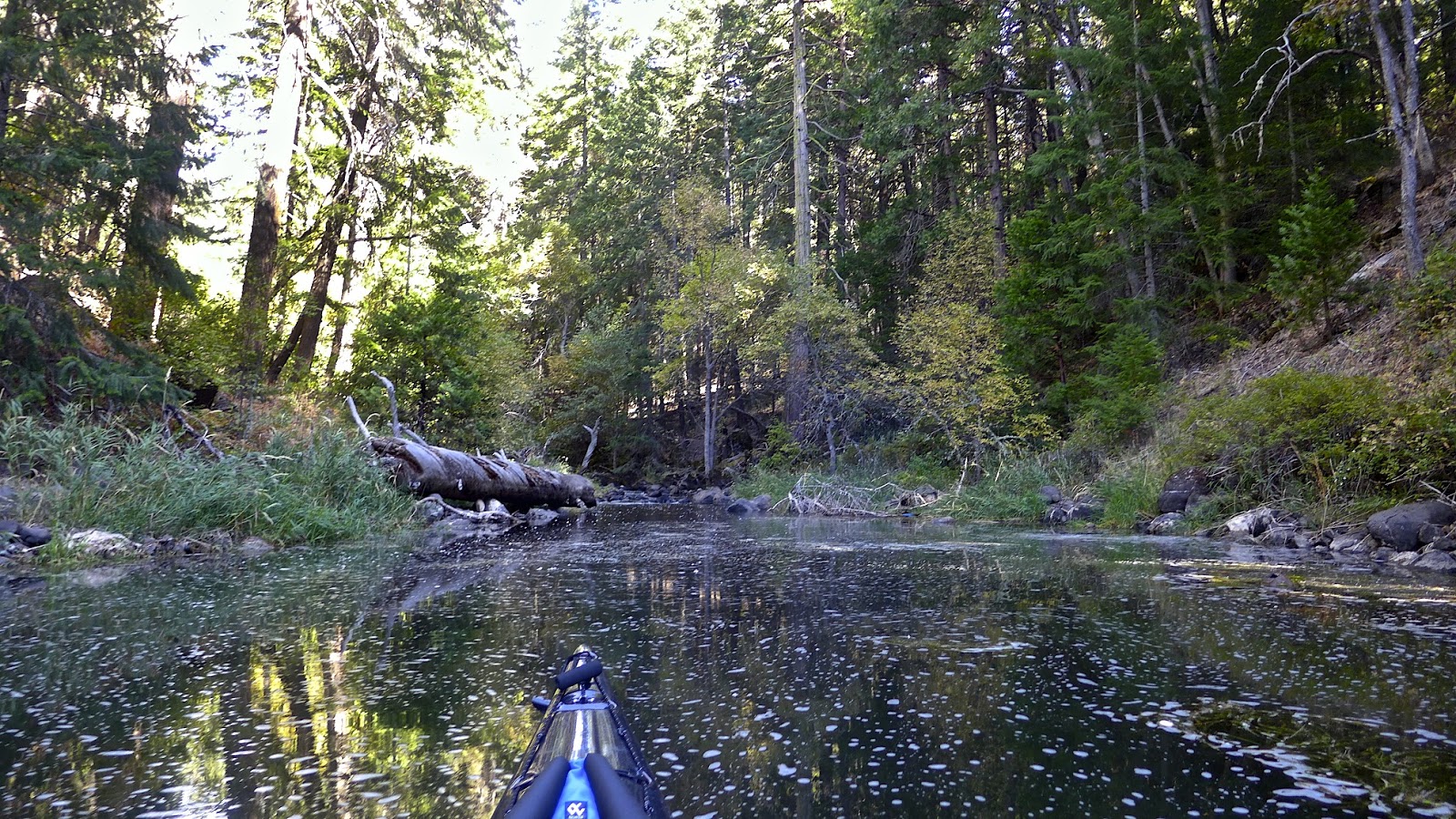 The Duffel Bag: * Lake Britton Paddle