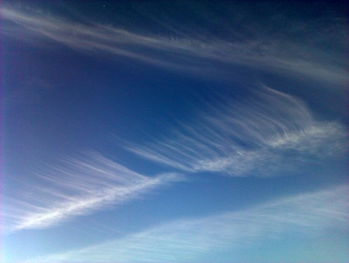 EL BLOG DEL TEMPS: Cirrus fibratus vertebratus