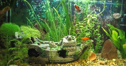 Славянские изделия из керамики: Декор для аквариума.Керамика.