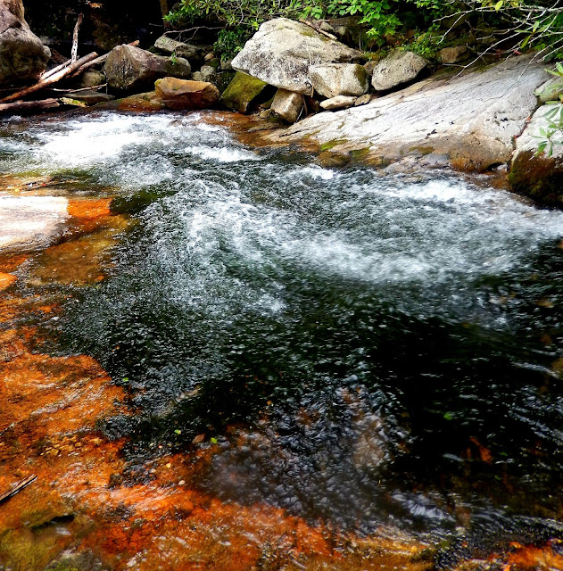 Hiking with a Fat Bald White Guy: Wilson Creek - Gragg Prong Falls