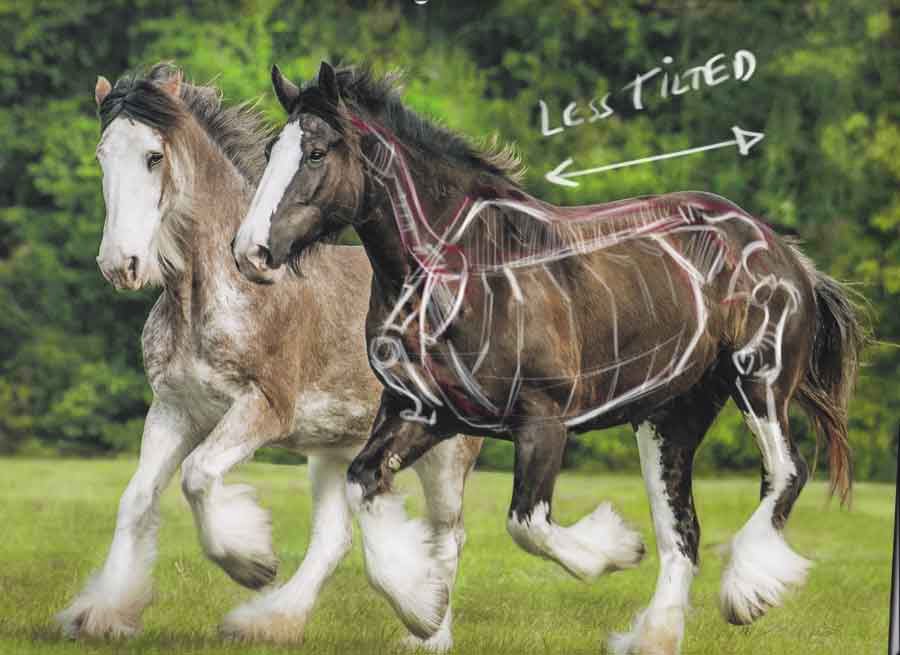 Joe Weatherly Fine Art