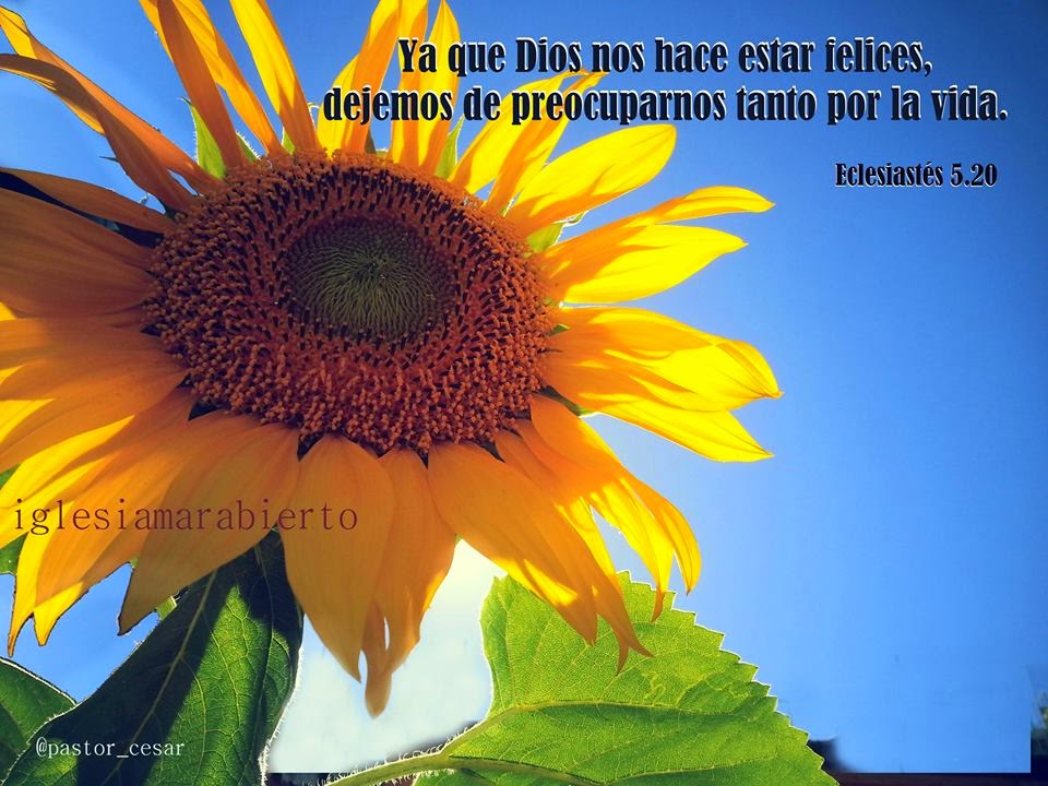 IMAGENES CON TEXTOS BIBLICOS - Mar de Vida Abundante