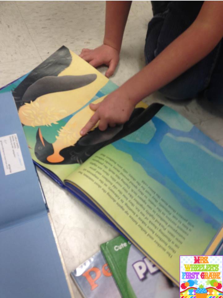 Mrs. Wheeler's First Grade Tidbits: Non-fiction Writing: Just Add Books