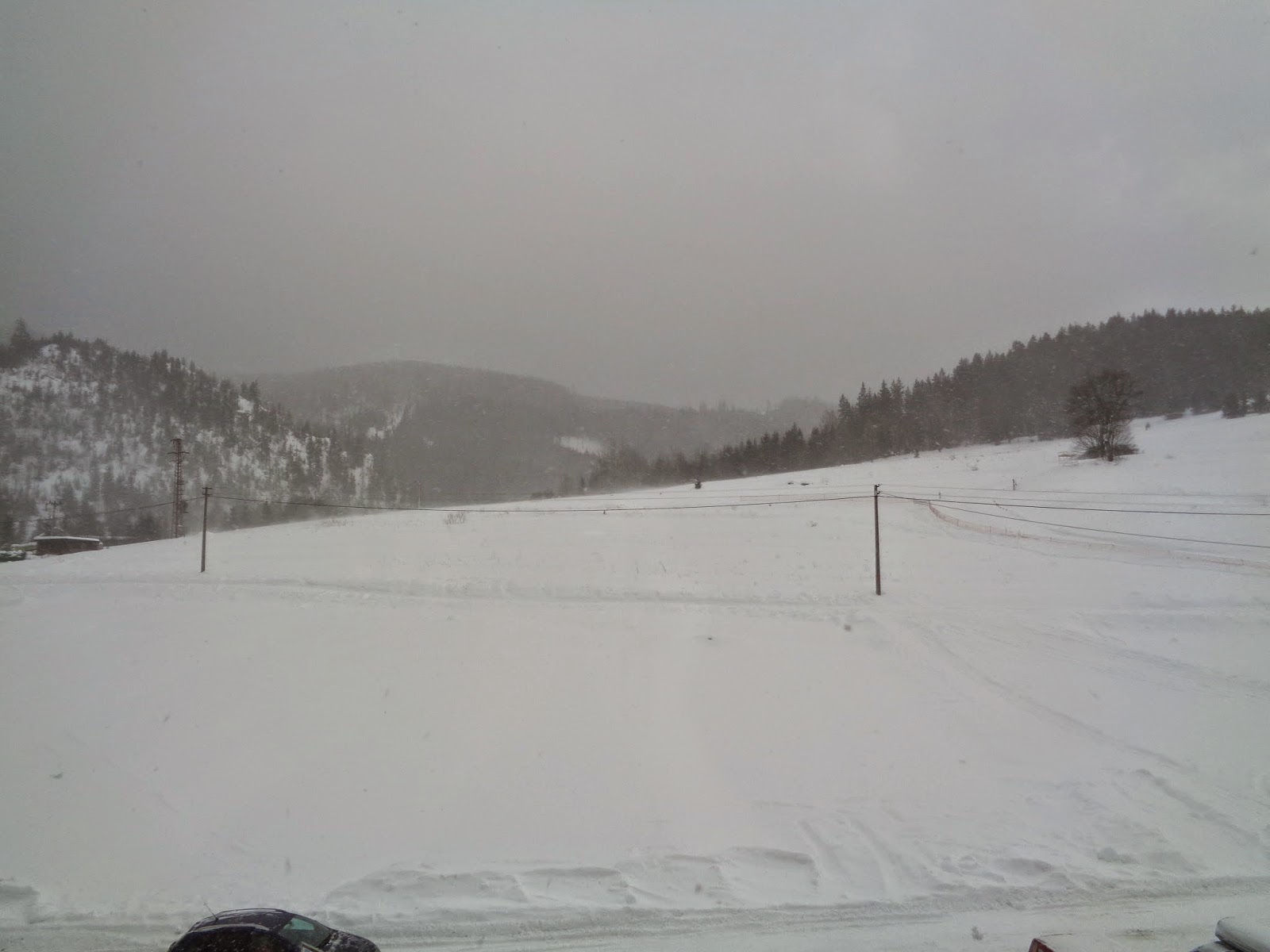 Matthew Strum - Biathlete, Cross Country Ski Racer