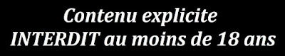(INTERDIT -18 ans) - L'univers des artistes Stu Mead et Reinhard Scheibner