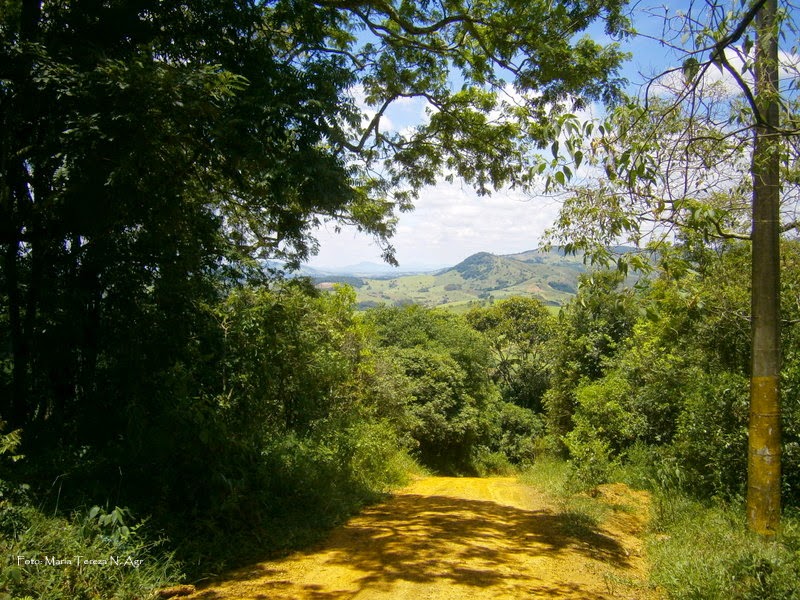 VIAGEM A BORDA DA MATA - PRIMEIRA PARTE