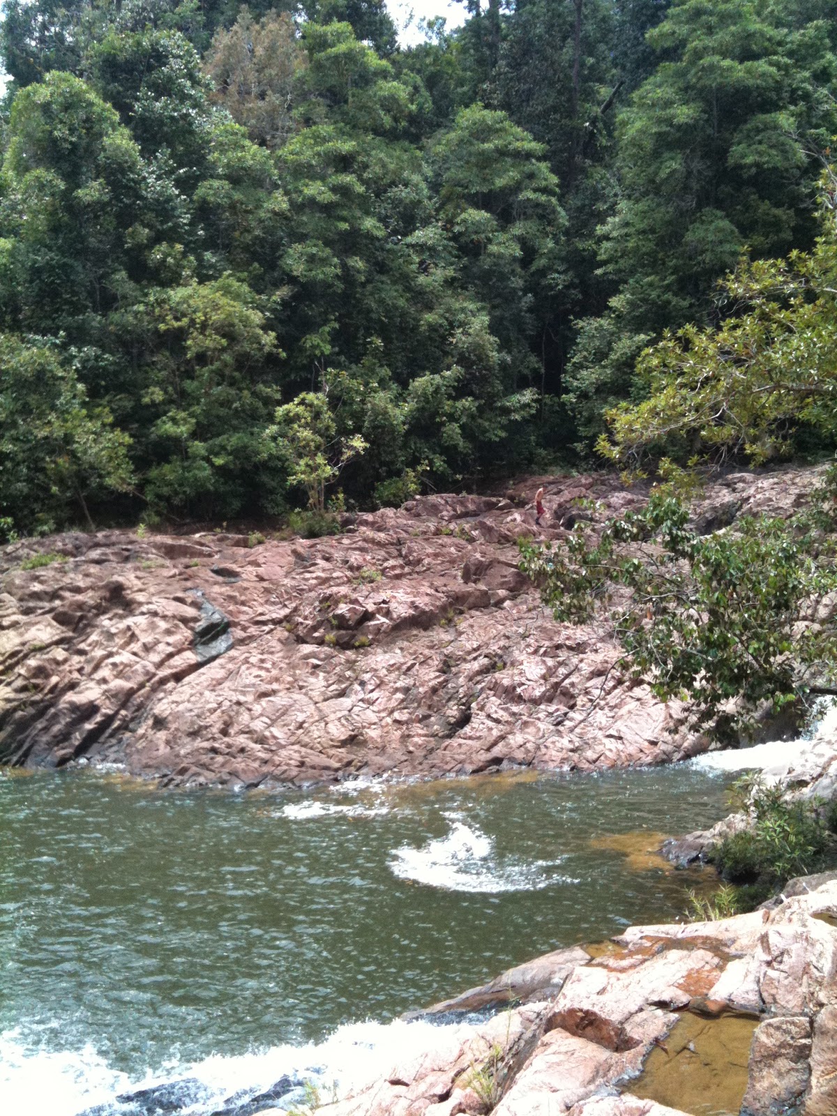Wandering at Endau Rompin National Park – The Wandering Wasp
