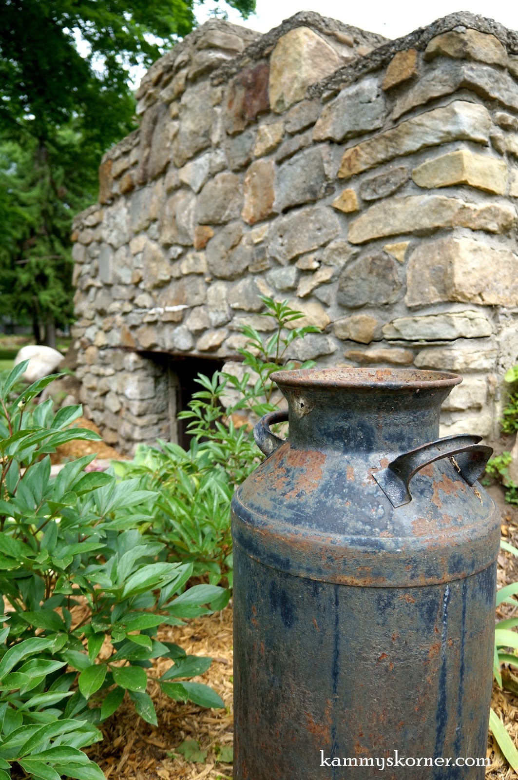 Kammy's Korner: Root Cellar Landscaping: A Dramatic Before & After!