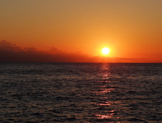 Reflections From the Fence: April 2016