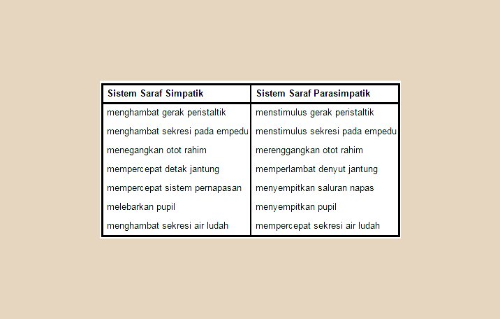 Sistem Saraf Simpatis dan Saraf Parasimpatis | Markas Belajar