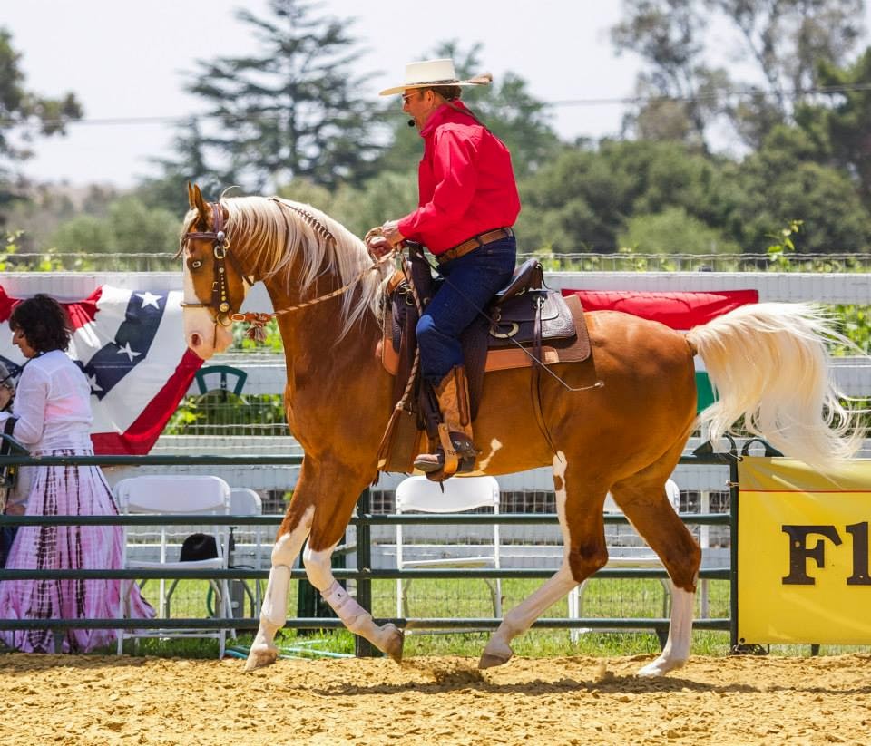Buckaroo Leather Horse Tack, Use, Care and Maintenance: Cowboy Dressage ...