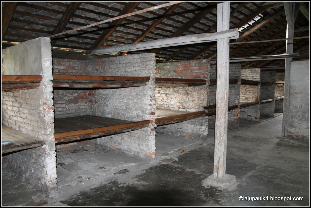 Through the Lands of Holocaust: Three-tier bunkers used by women at ... Through the Lands of Holocaust: Three-tier bunkers used by women at ...