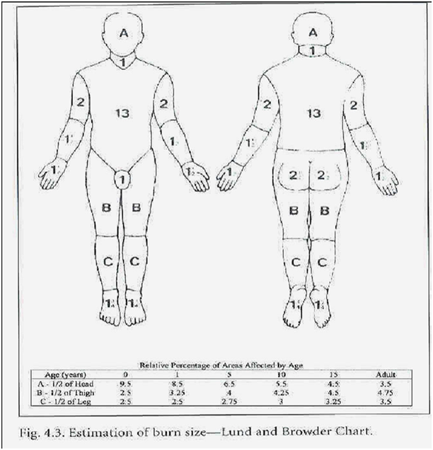 long life learning: Burn Injuries