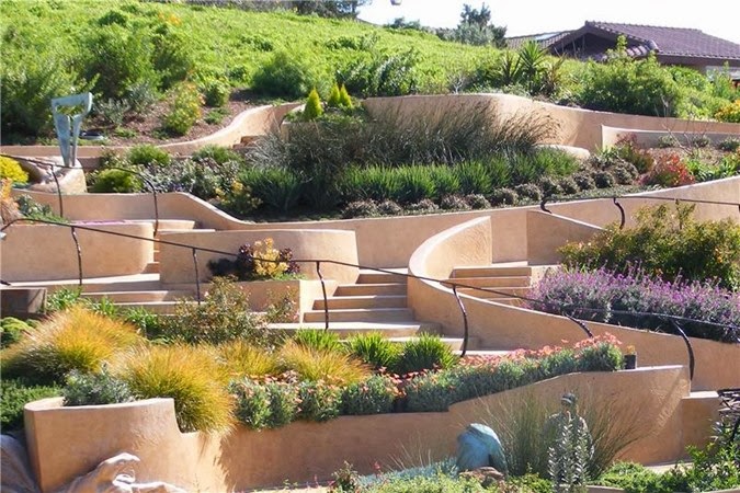 danger garden: The Wave Garden, San Francisco Garden Bloggers Fling