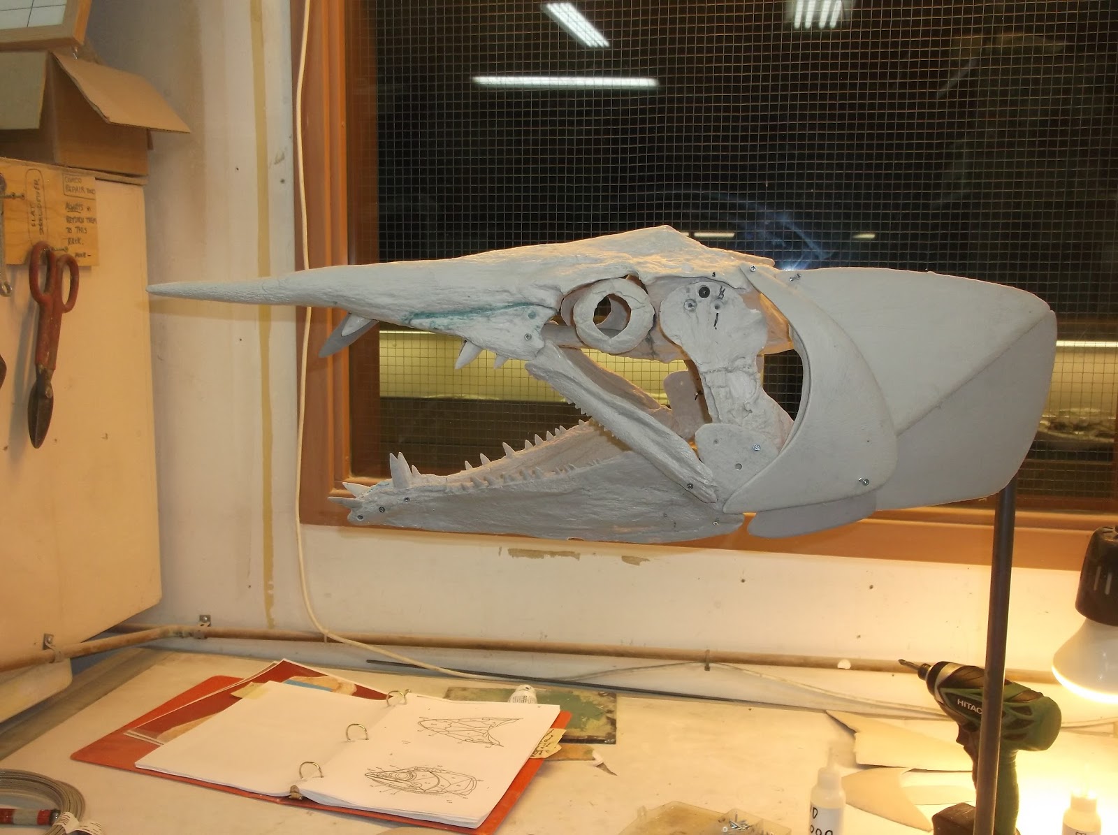RMDRC paleo lab: Protosphyraena: Like a Swordfish Made Babies With a ...