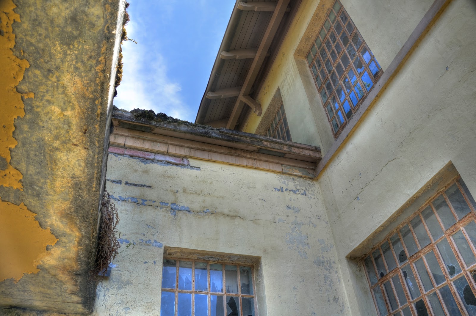 This Life in Ruins: Northern State Hospital Grounds on Photographic Tour