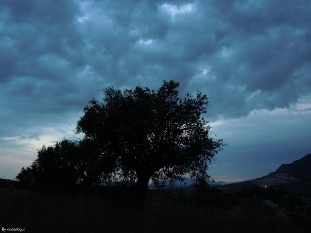 STELLEAR: LAS NUBES AZULES