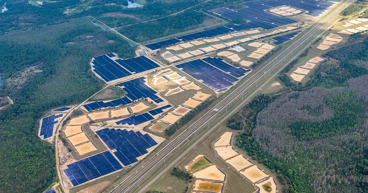 Picturing Disney: Disney Celebrates Earth Day 2019