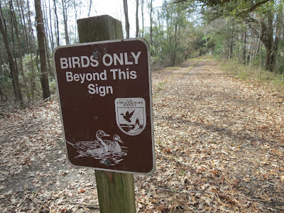 BirdsEyeViews: Ernest F. Hollings ACE Basin National Wildlife Refuge