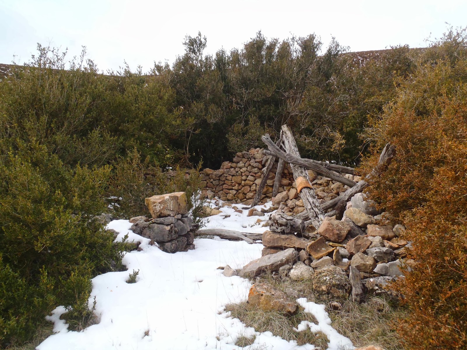 El Valle de Rodellar: CAMPOS EN LAS NUBES. Cámbol