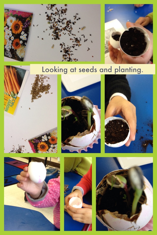Beginning with Inquiry in Kindergarten: Flower Inquiry