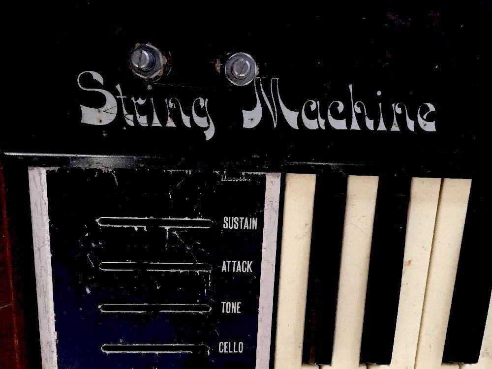 MATRIXSYNTH: Jen String Machine SM2007