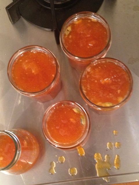 The Frugal Cook: Apricot and cardamom jam