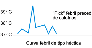 fiebre_hectica.jpg