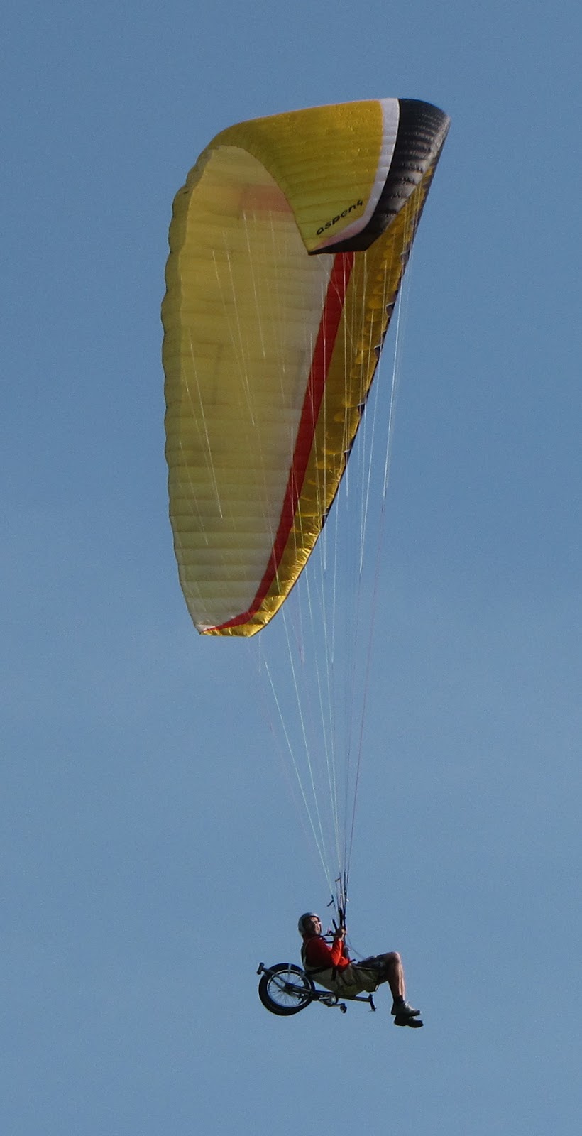 Mostly Two Wheels Python Turned Peregrine