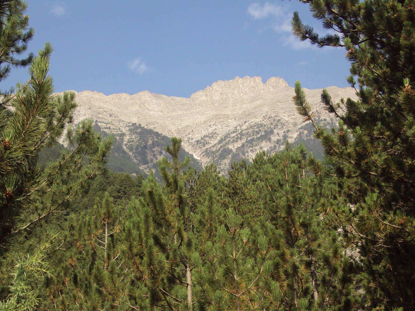PENSION OLYMPOS ΕΝΟΙΚΙΑΖΟΜΕΝΑ ΔΩΜΑΤΙΑ : FOTO ALBUM