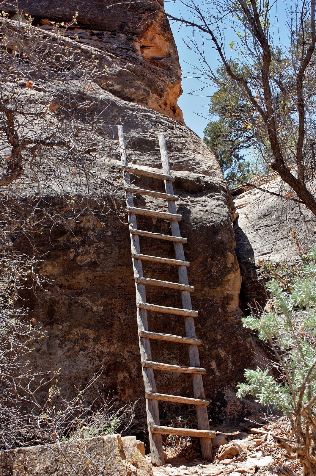 The Southwest Through Wide Brown Eyes: Canyonlands, the Needles ...