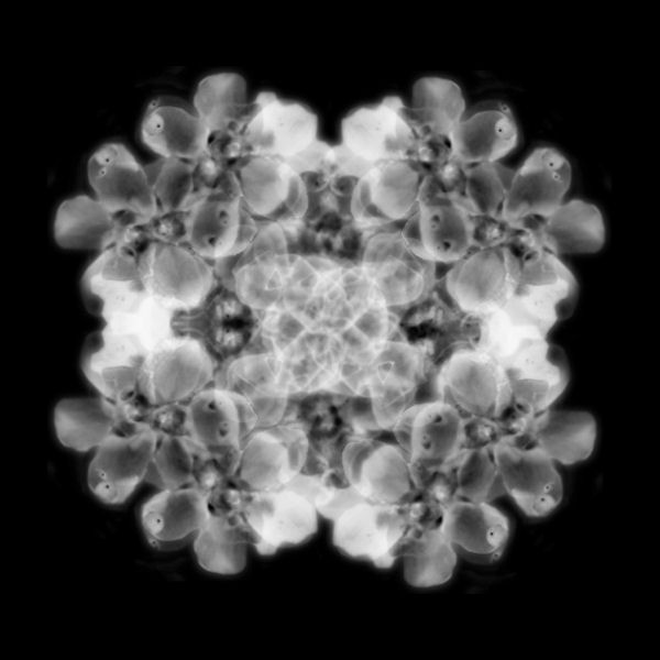 Lori's PSP Graphics: Another 5 Masks!