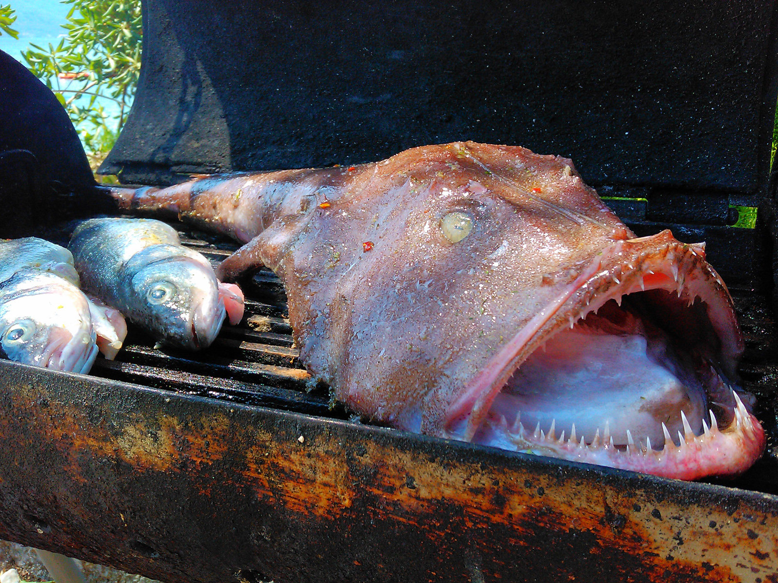 Kako sam napraviti : Kako ispeći ribu na roštilju