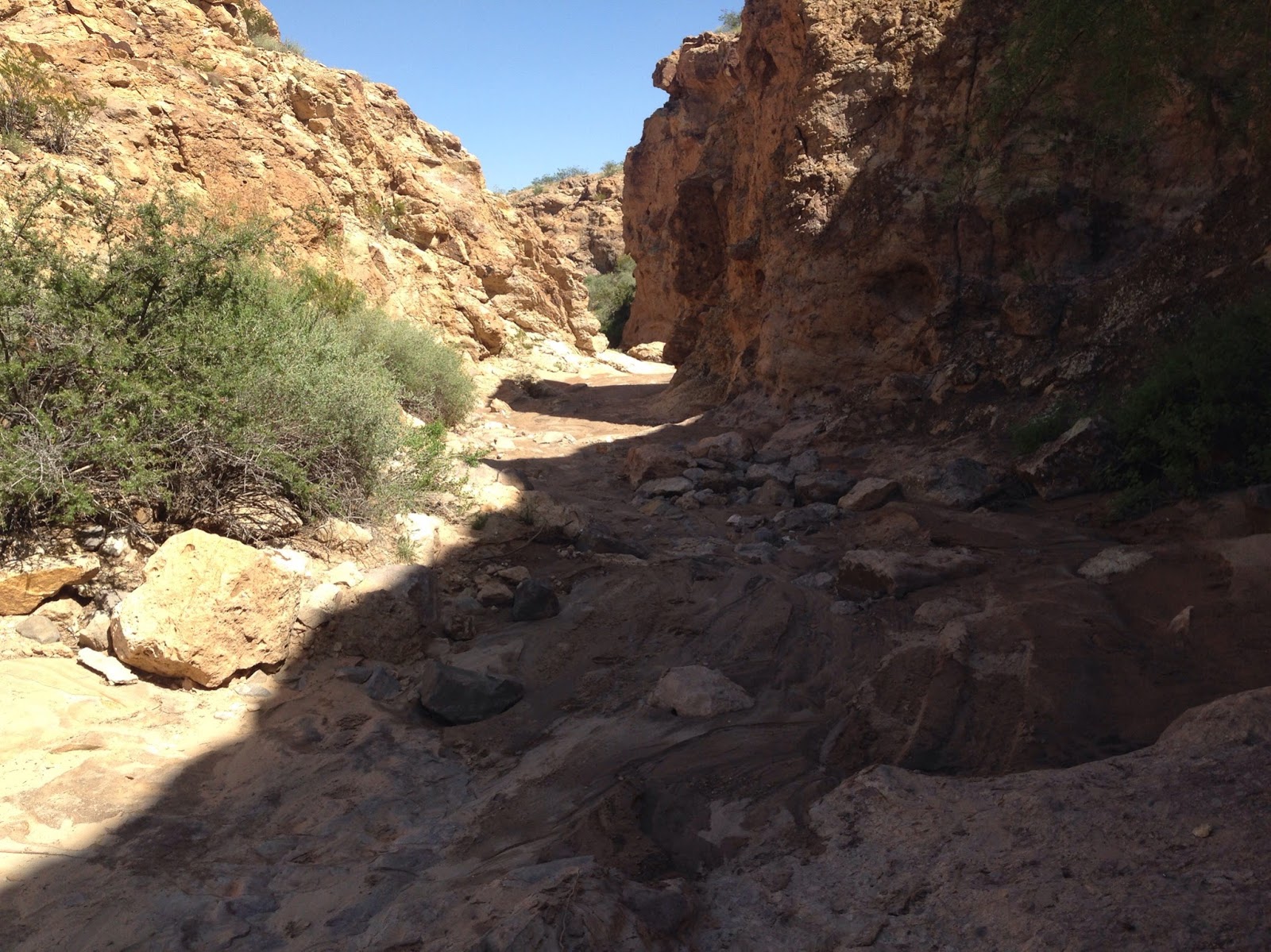 Southern New Mexico Explorer: Box Canyon revisited- Organ Mountains ...