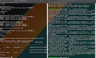 Solr 7 beginner tutorial, part 2: delta-import, debugging tips.
