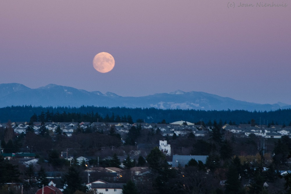 Pacific Northwest Photography: November Full Moon